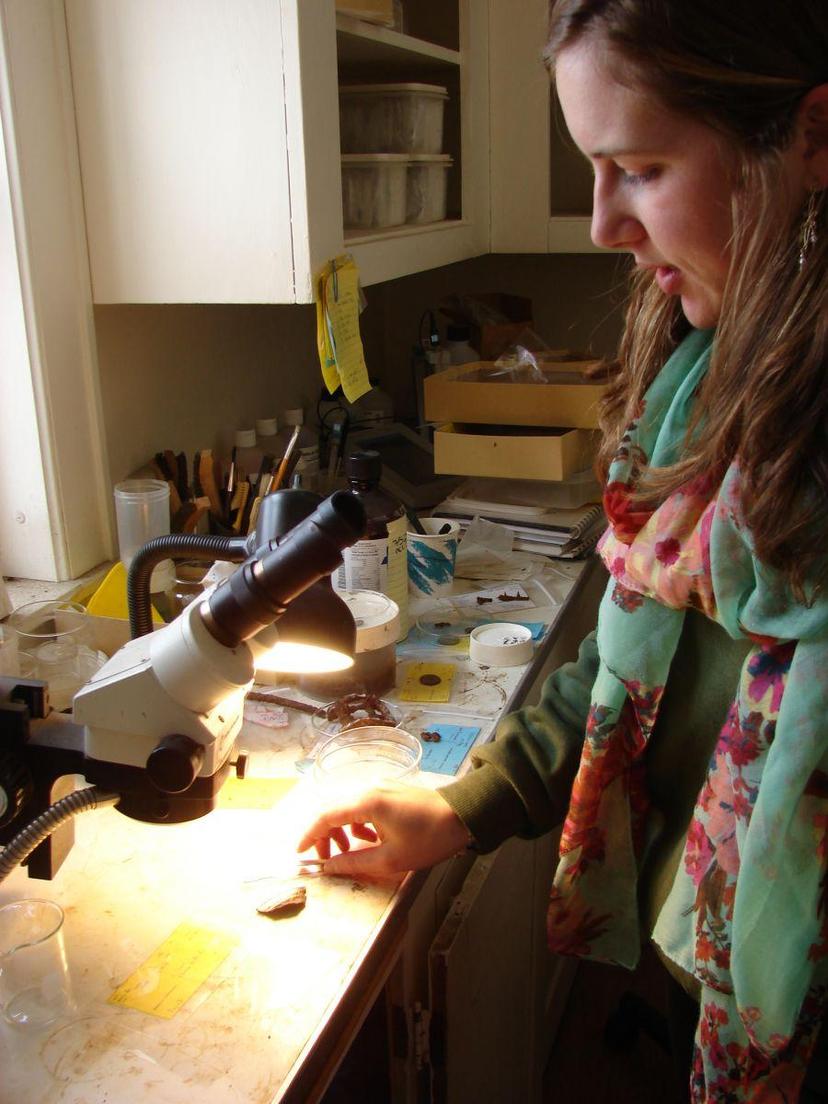 Laboratory & Conservation